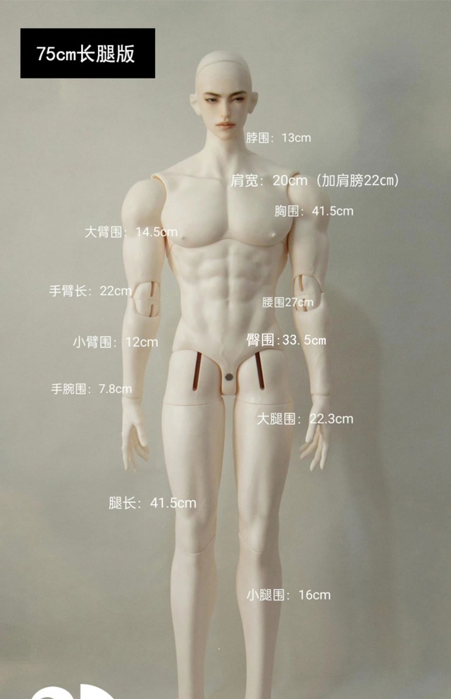 マッチョ！ボディのみ！2DDOLL ヘッドなし BJD 1/3 SD DD ID75 球体関節人形 本体 DOLL ボディ カスタムドール 男の子 大きいサイズ 75cm 80cm 83cm ...