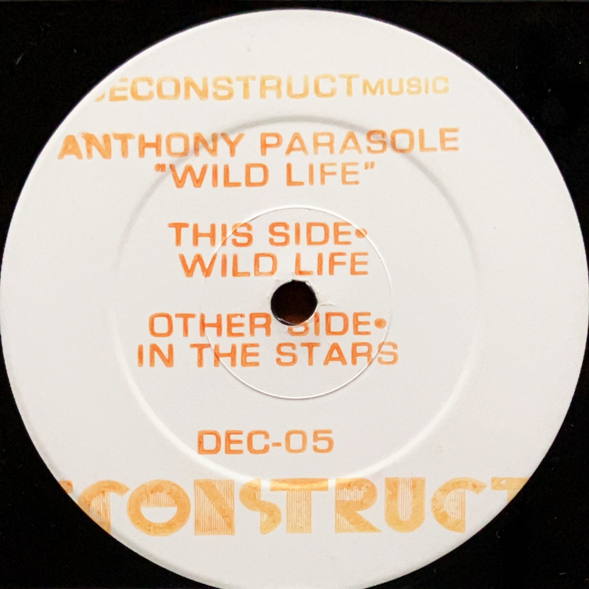 【12”】Anthony Parasole / Wild Life (Deconstruct Music) (DEC-05 ...