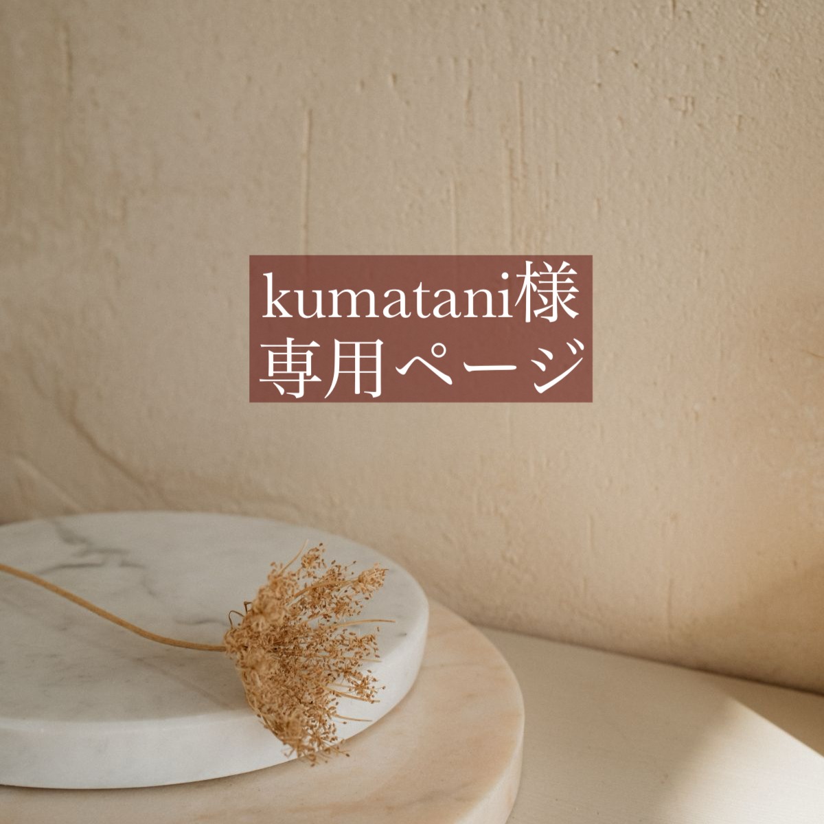 KUMATANI様専用ページ | ámone.