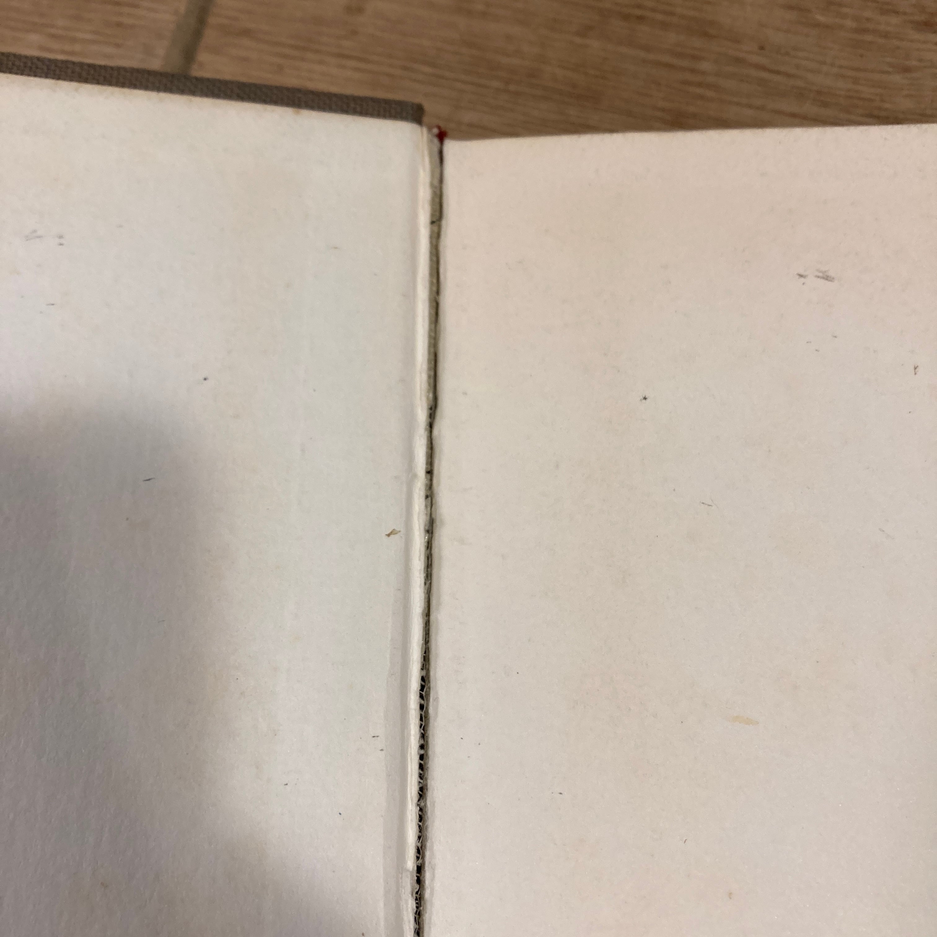 NICOLAS SCHOFFER | 百年