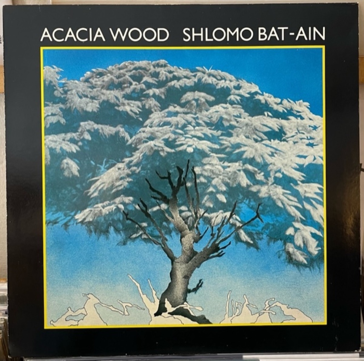 SHLOMO BAT-AIN "ACACIA WOOD" LP | EAD RECORD