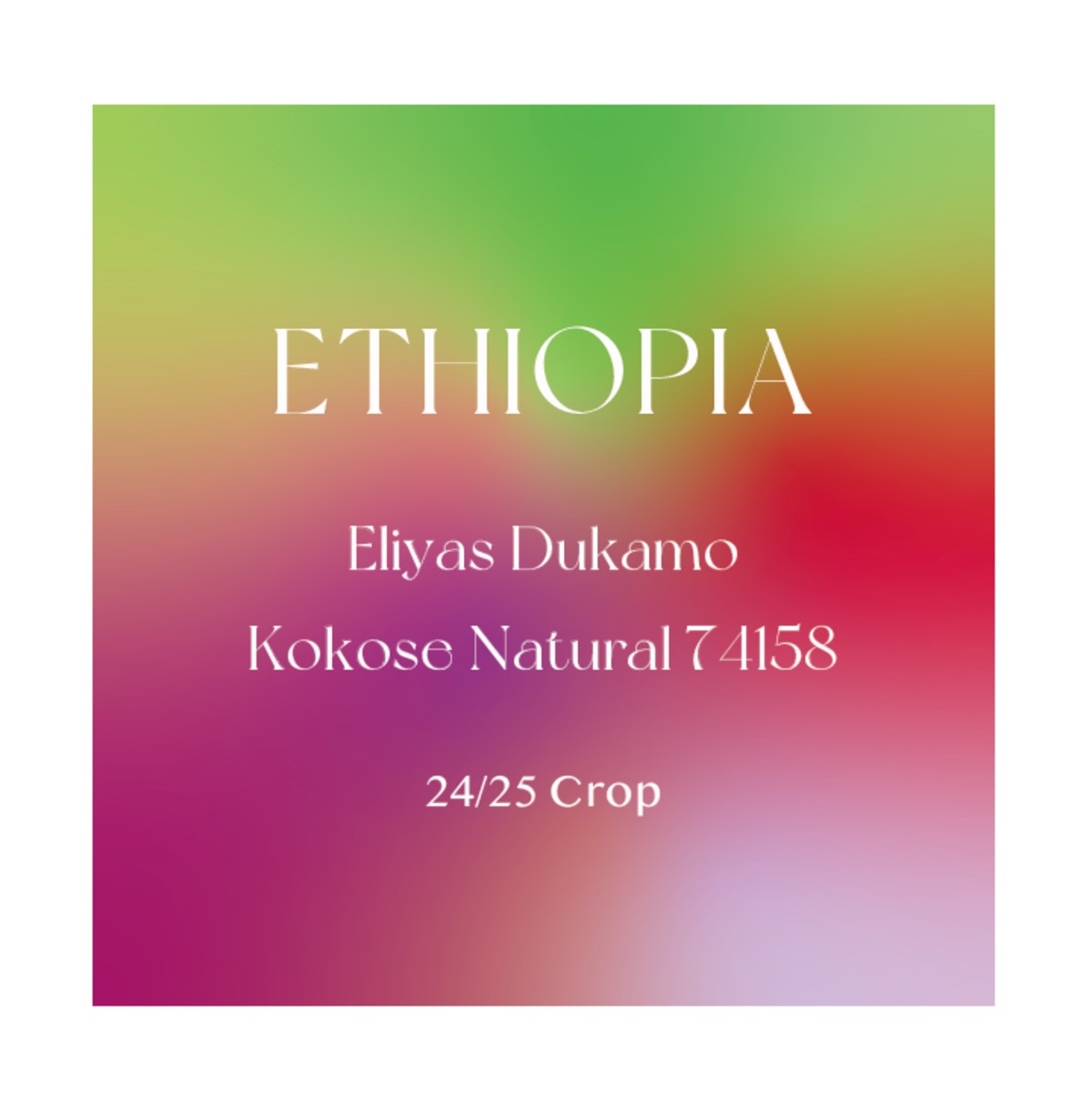 Ethiopia Eliyas Dukamo Kokose Natural 100g | SLOTH COFFEE ROASTERS