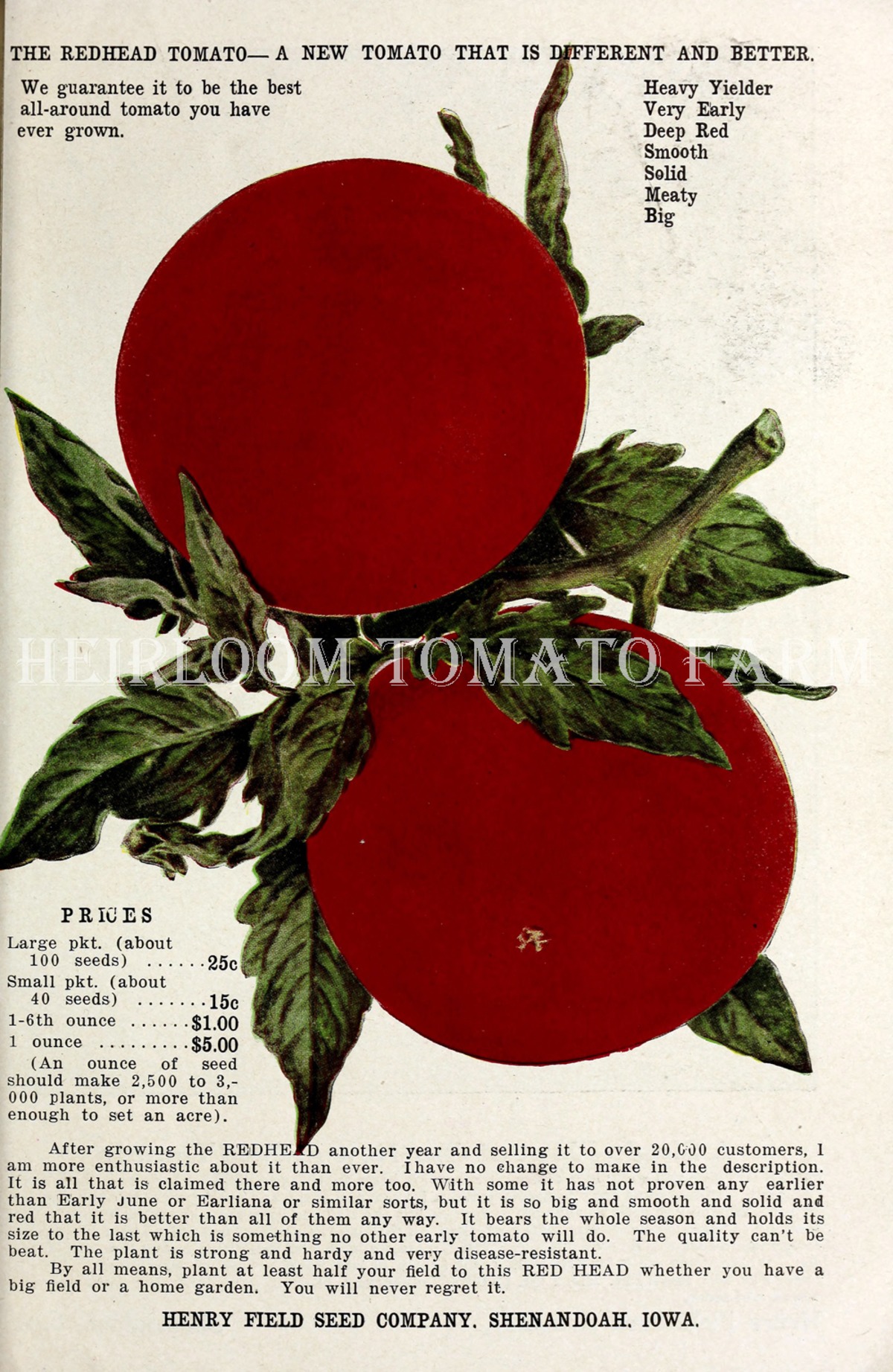 Heirloom Tomato® Red Head=Redhead=The Redhead=Field's Redhead エアルーム・トマト ...