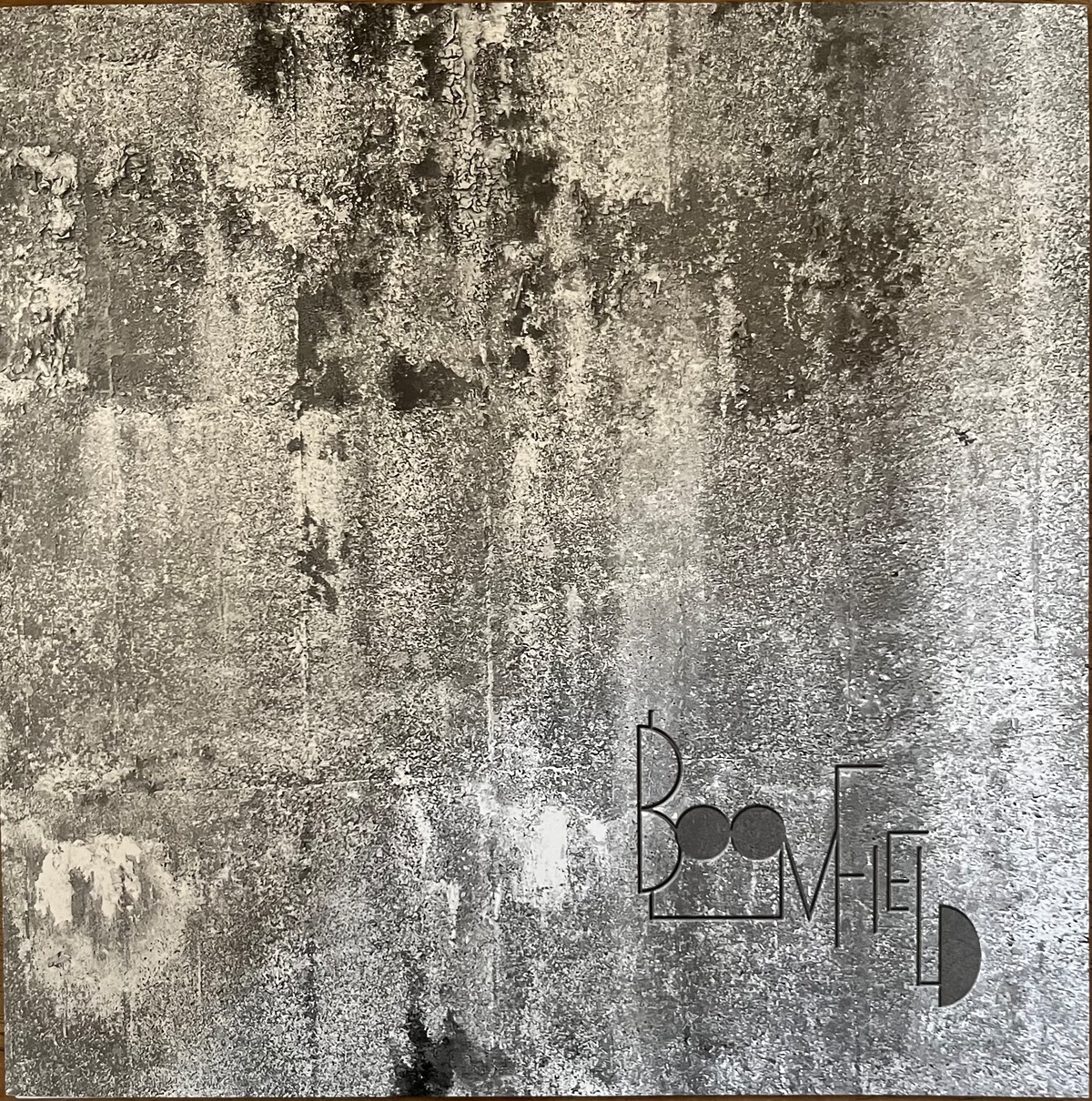 Bloomfield - Walkin'in My Shadow 7" | Target Earth Records shop