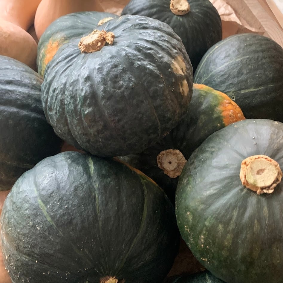 【訳あり】かぼちゃ[蒼月]可食部で1㎏位（カットの場合有り）北海道 自家採種 | 【タネカら商店】WEBサイト