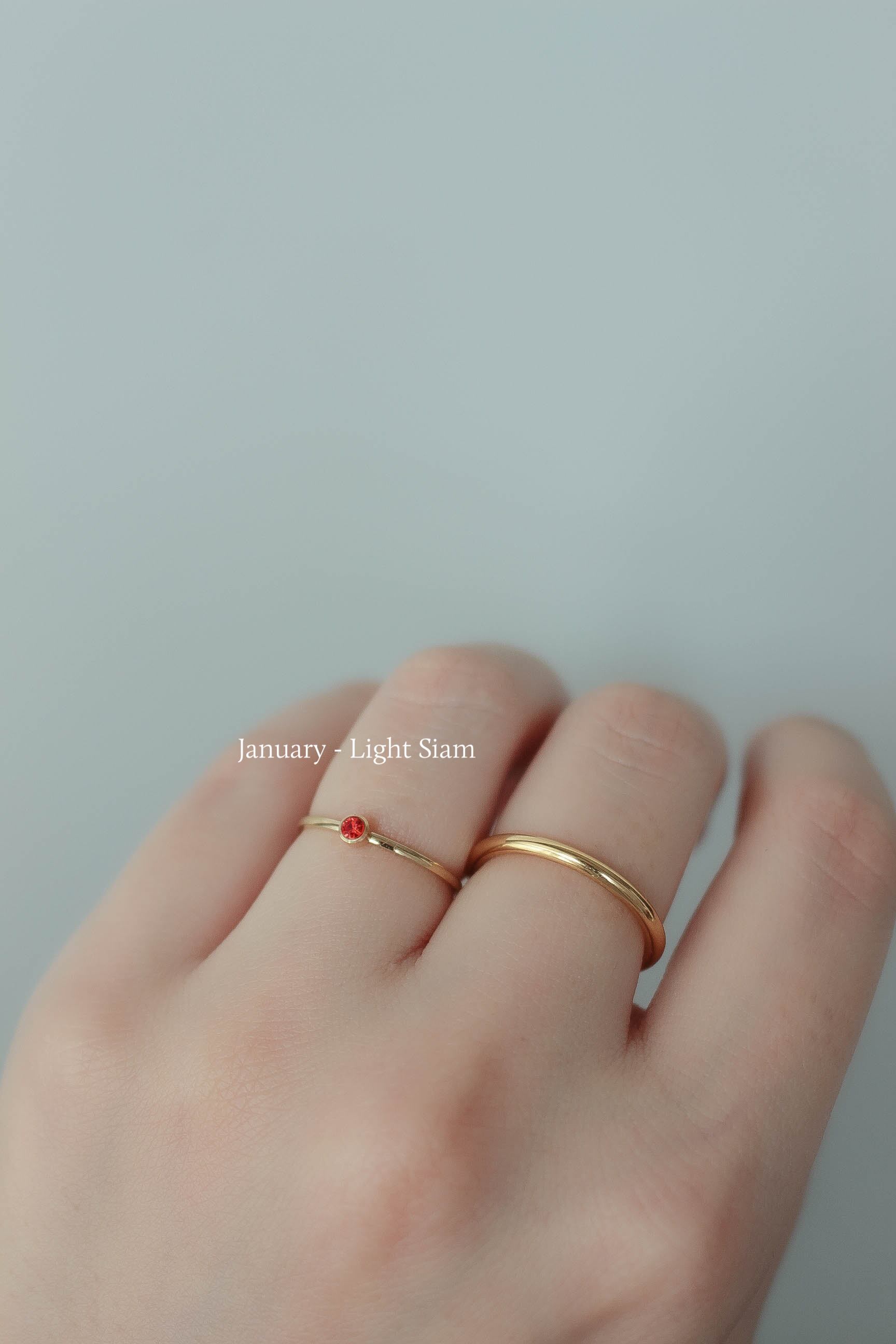 Birthstone Ring | ebine