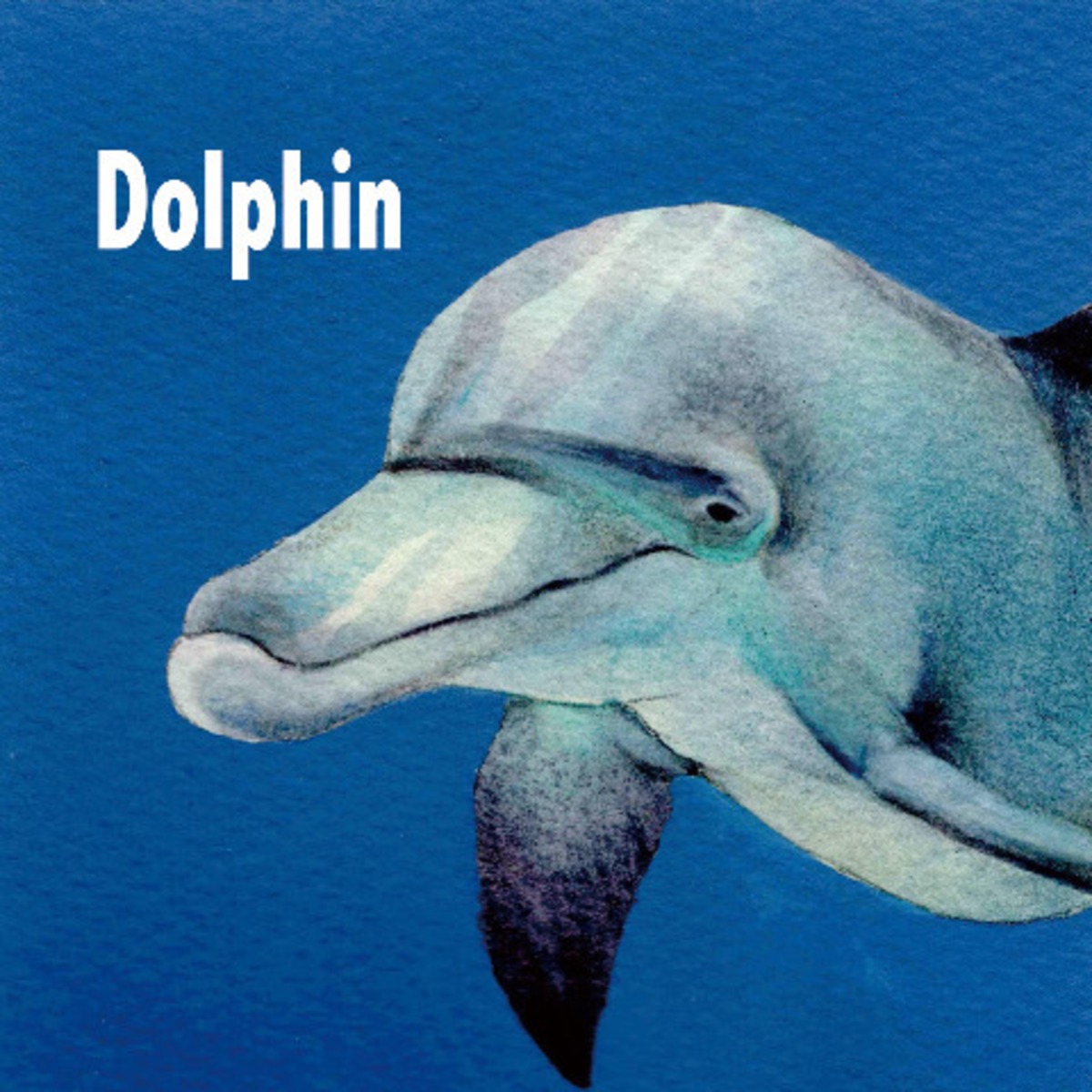 たいみずえ Z14-3個 | moripen