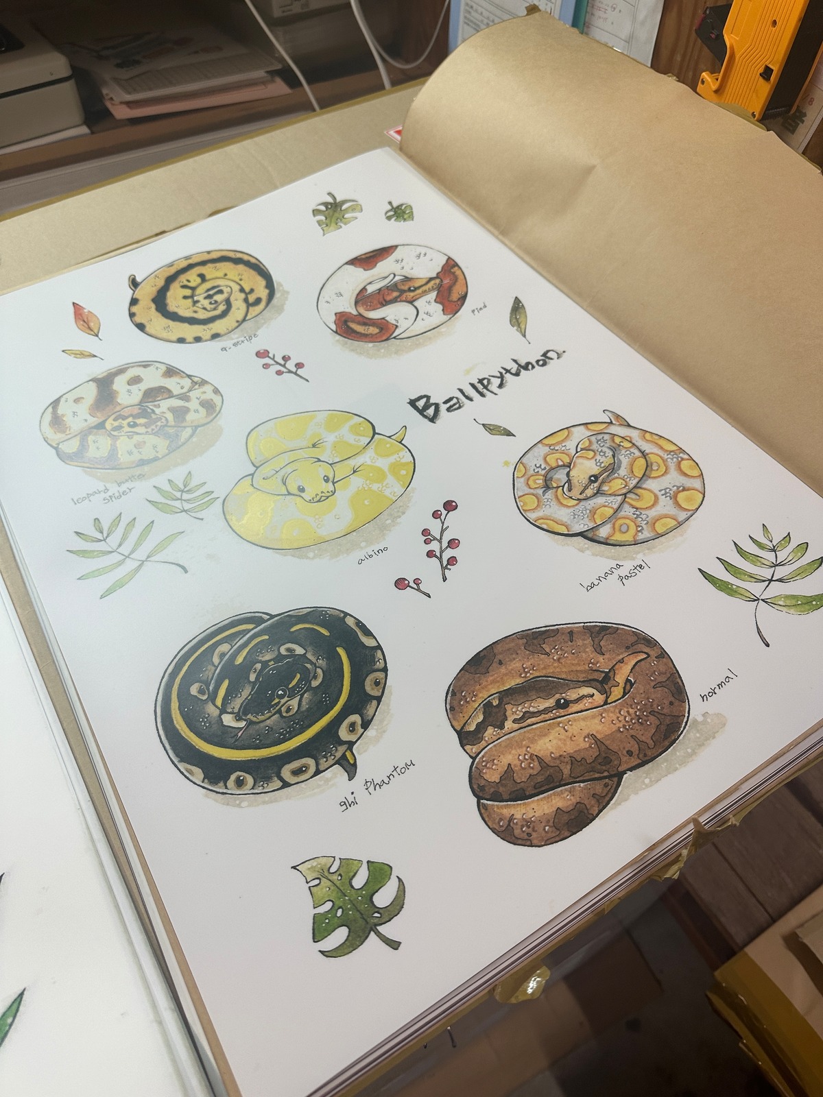 ボール ポスター | SPELTY