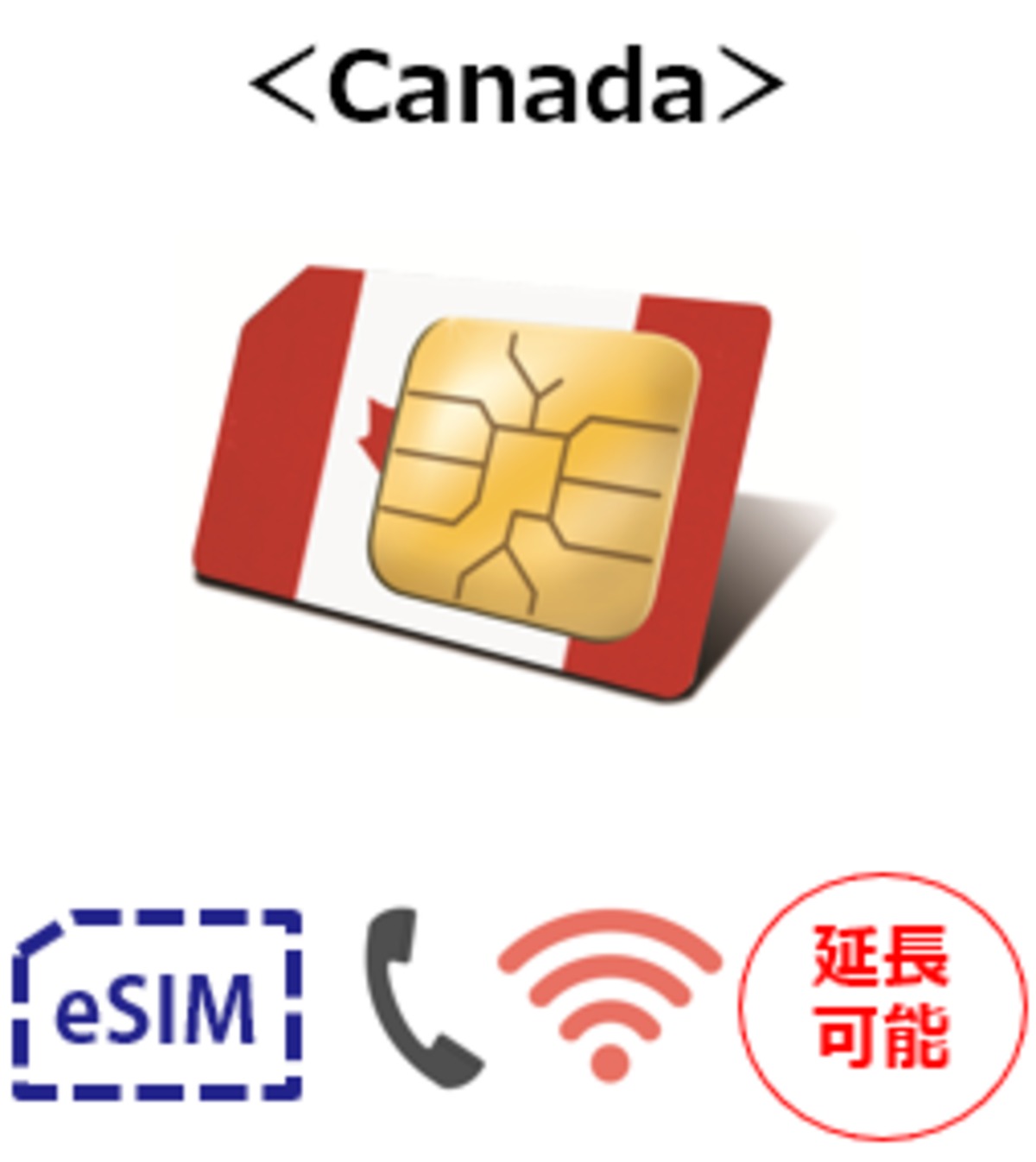 20GB/30days | PicCell SIM