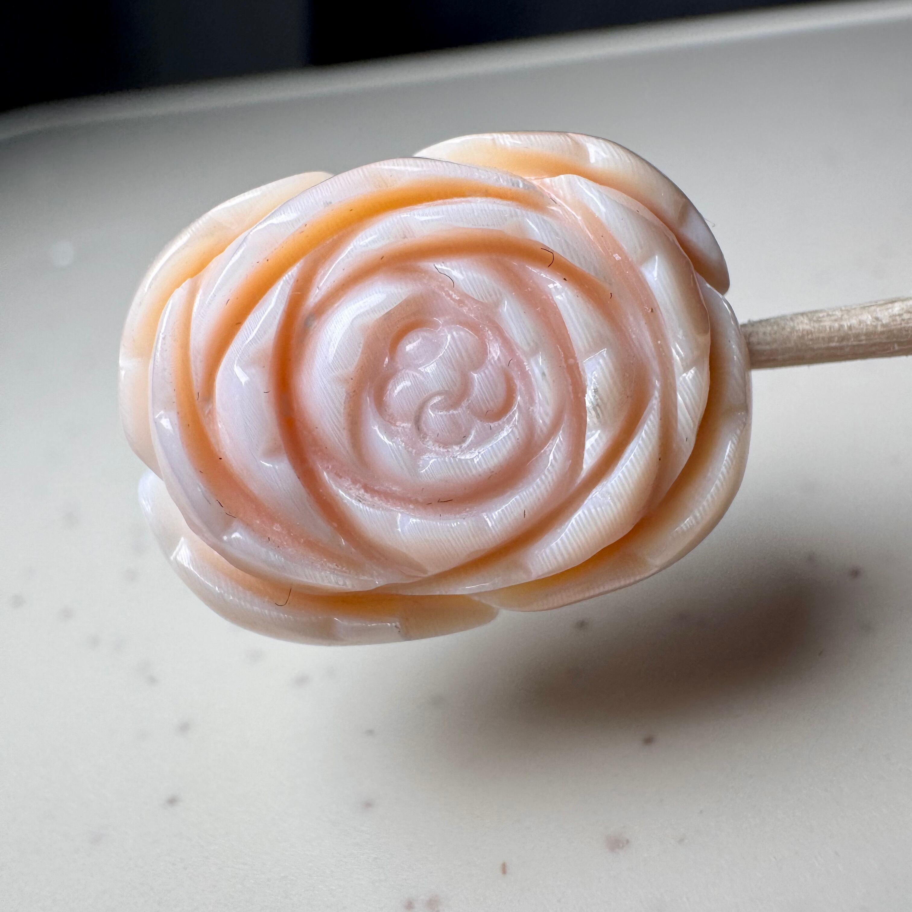 no.T5 クイーンコンクシェルお花貫通穴有り | sumiha7