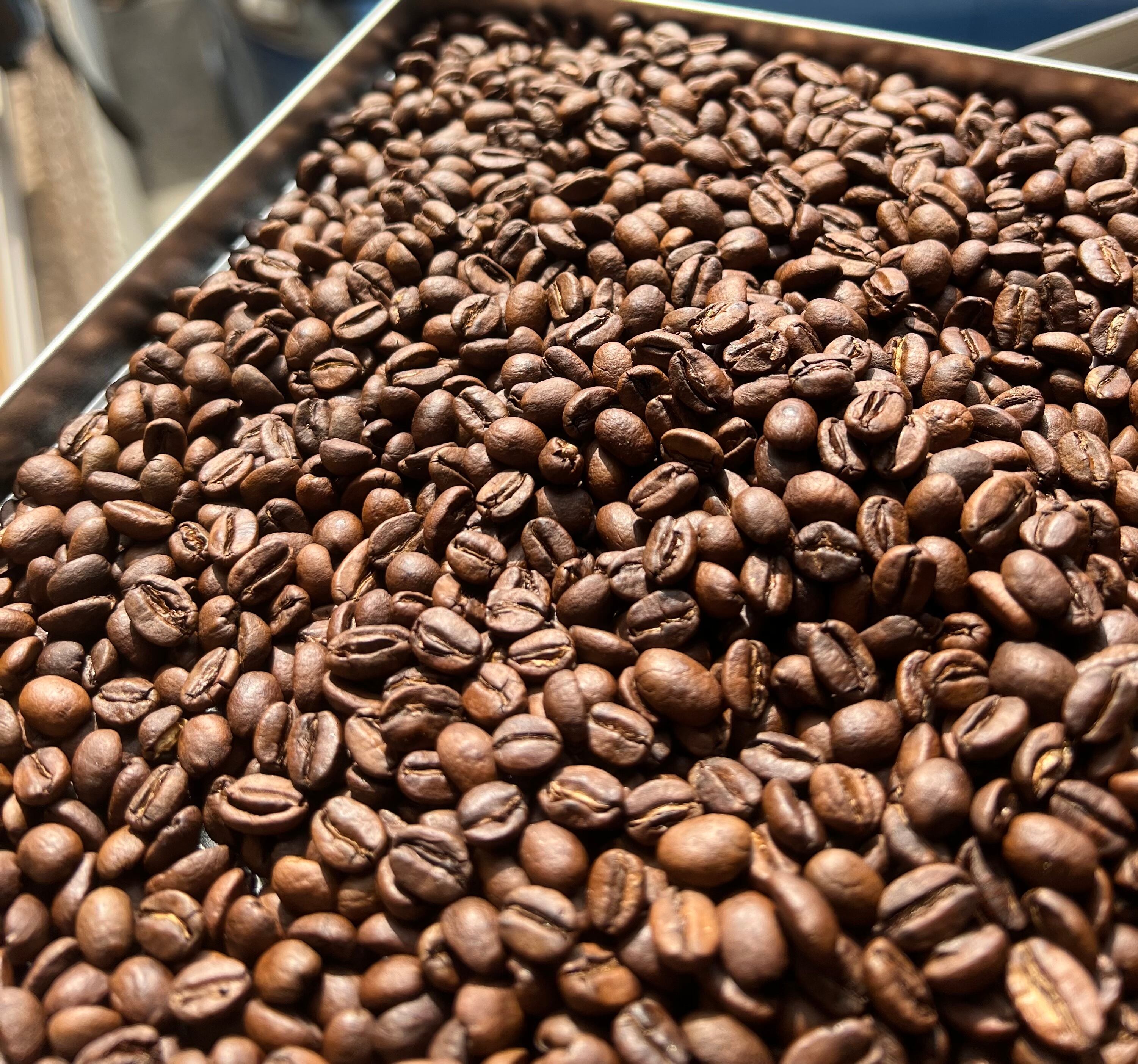 中国 | tass.coffee