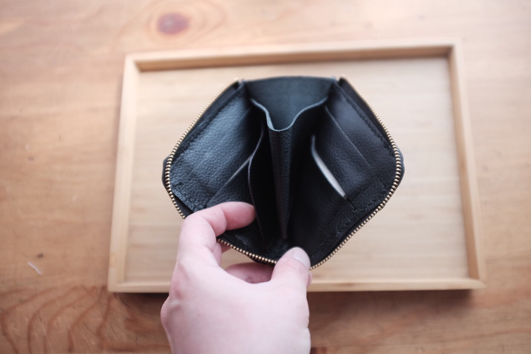 Palm size wallet 【lizard】 | socius