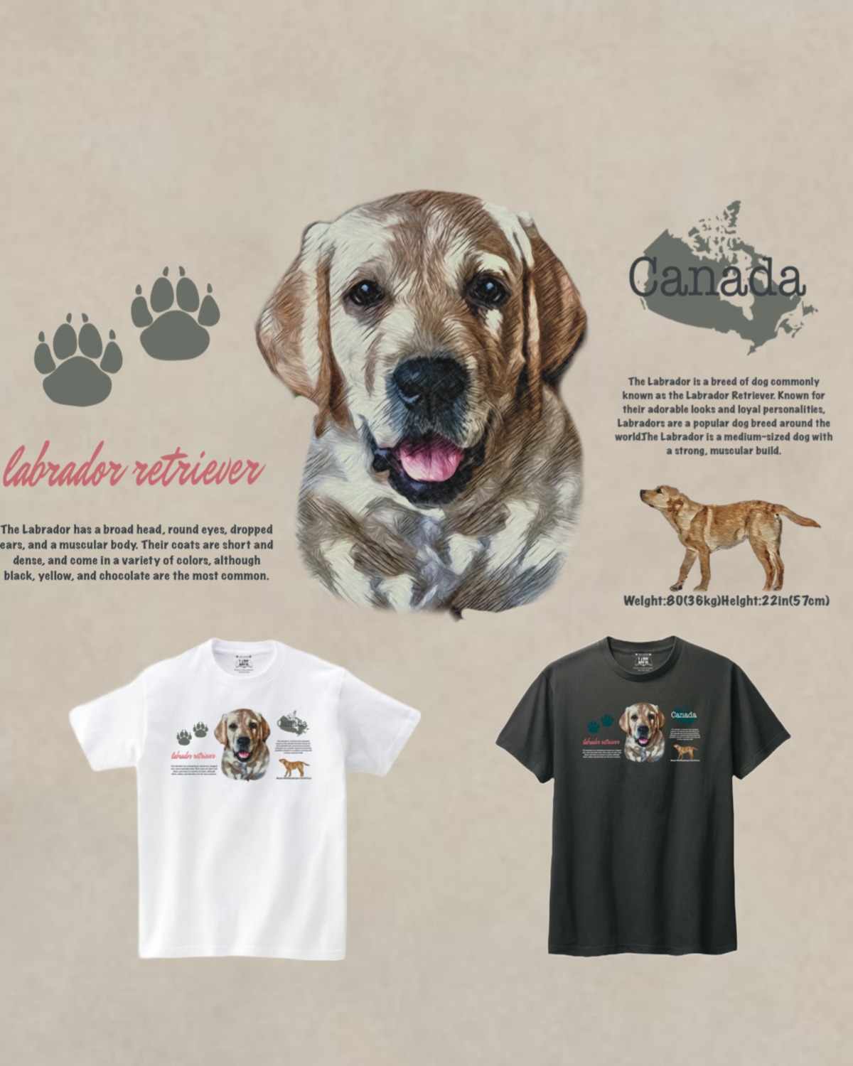 LAPSI DOG BOOK Labrador retriever Tee | LAPSI DOG VINTAGE（ラプシ ドッグ ヴィンテージ）