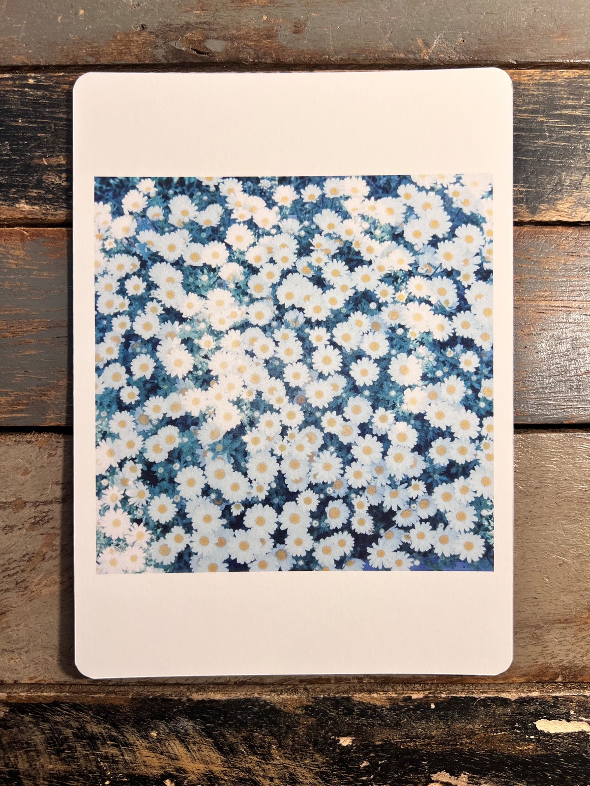 岡崎直哉 ポストカード pc23 | irodori