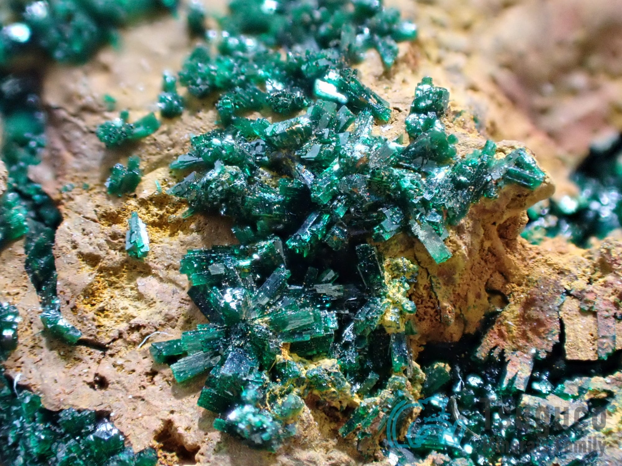 47％割引大割引 天然石 鑑賞石 孔雀石 マラカイト 重さ約1140g 唐木台付 F R4588 彫刻/オブジェクト 美術品-OTA.ON.ARENA.NE.JP