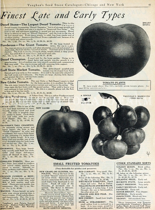 Heirloom Tomato® Cluster Napoléon=Grape エアルーム・トマト・クラスター・ ナポレオン ...