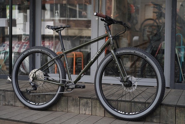 SURLY | MATTHEW CYCLE