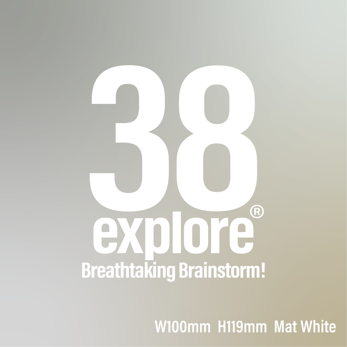 CUTTING シール 100 (WH) | 38explore