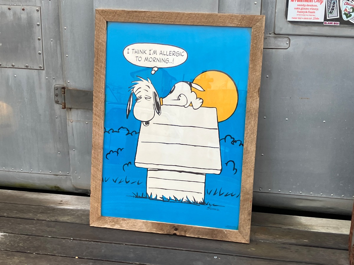 1967 SPRINGBOK PEANUTS MORNING ALLERGIC POSTER | CEREAL（シリアル）