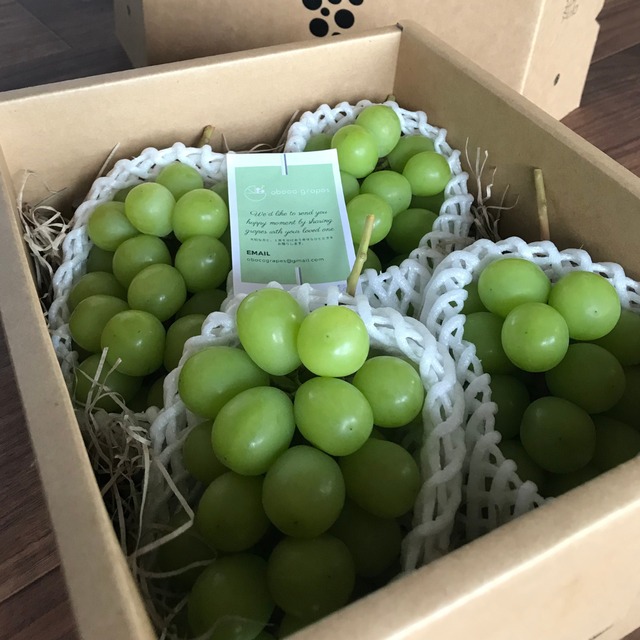 oboco grapes online shop