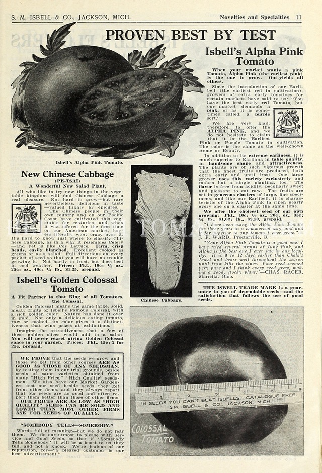 Heirloom Tomato® Isbell's Golden Colossal エアルーム・トマト・イスベルズ・ゴールデン・コロッサル ...