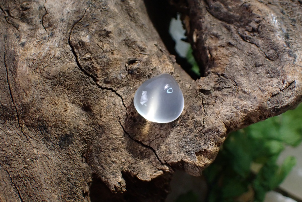 ムーンストーンキャッツアイ 1.92ct [C2‐1245] | differencee(ディファレンシー)