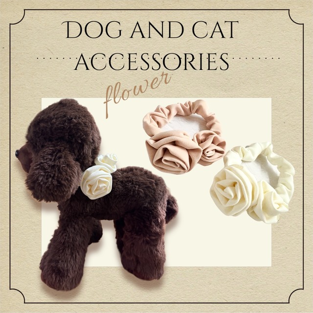 MEOW BAW BOUTIQUE】