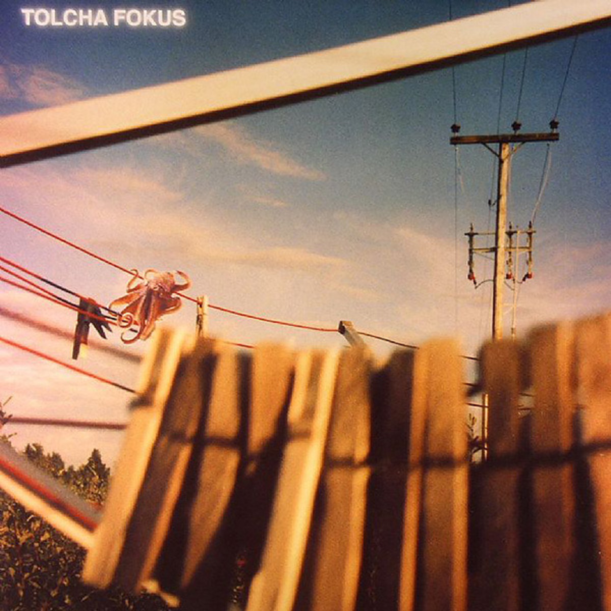 Tolcha - Fokus | U/M/A/A STORE