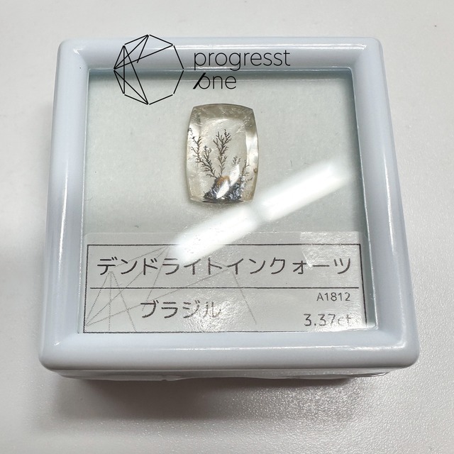 デンドライトインクォーツ3.37ct | progresstone