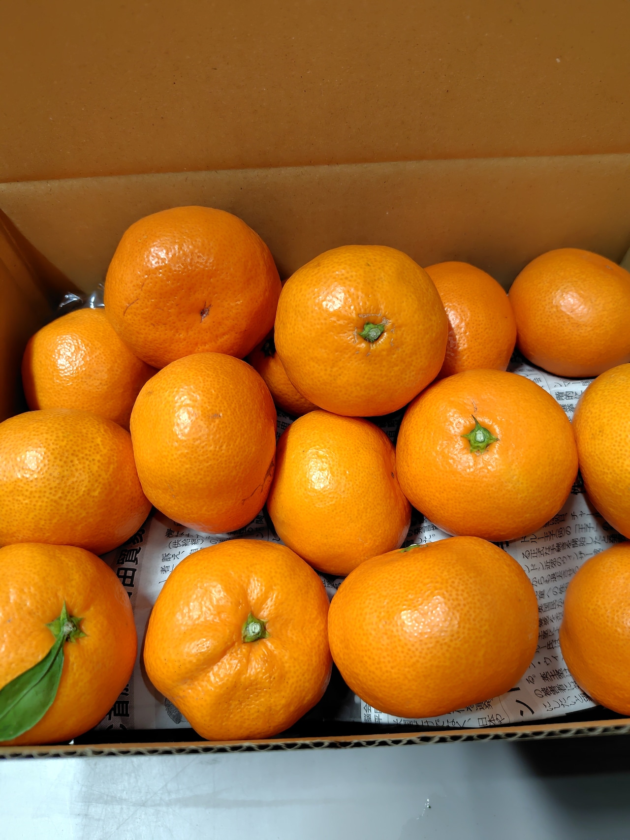 【豪華3種】天草、甘平、宮川みかんBOX | huwanouen