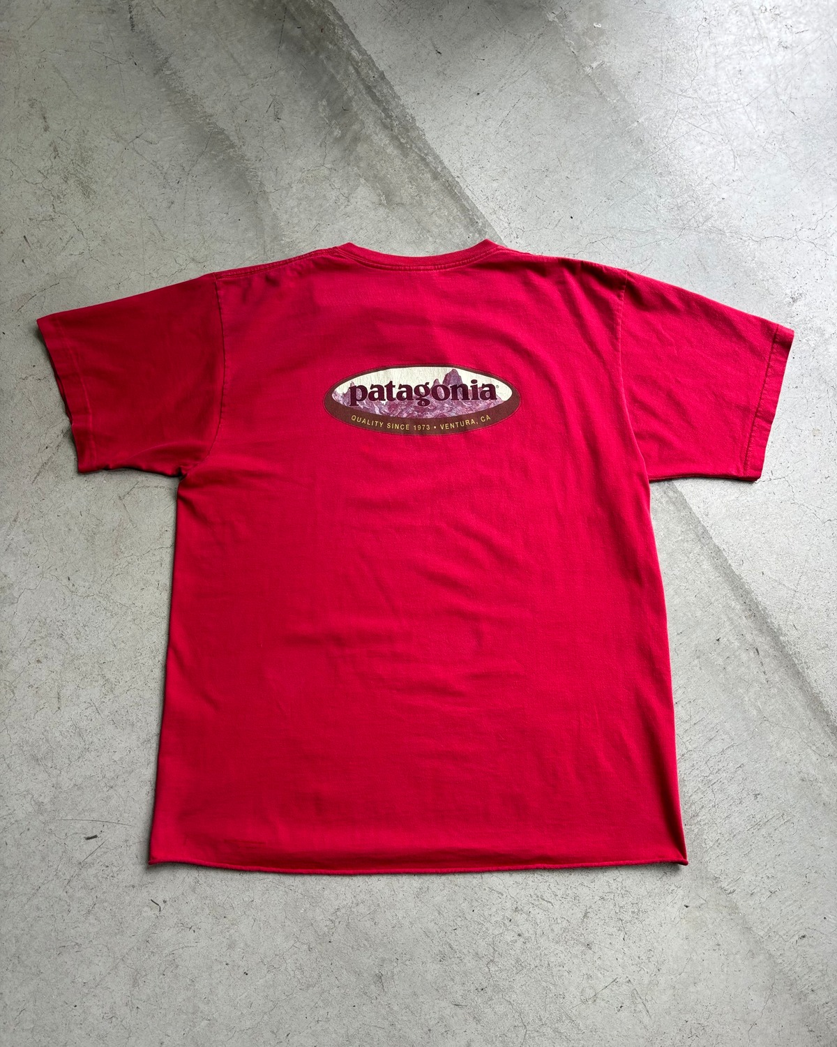 1990s patagonia back print logo T-shirt | web_pee