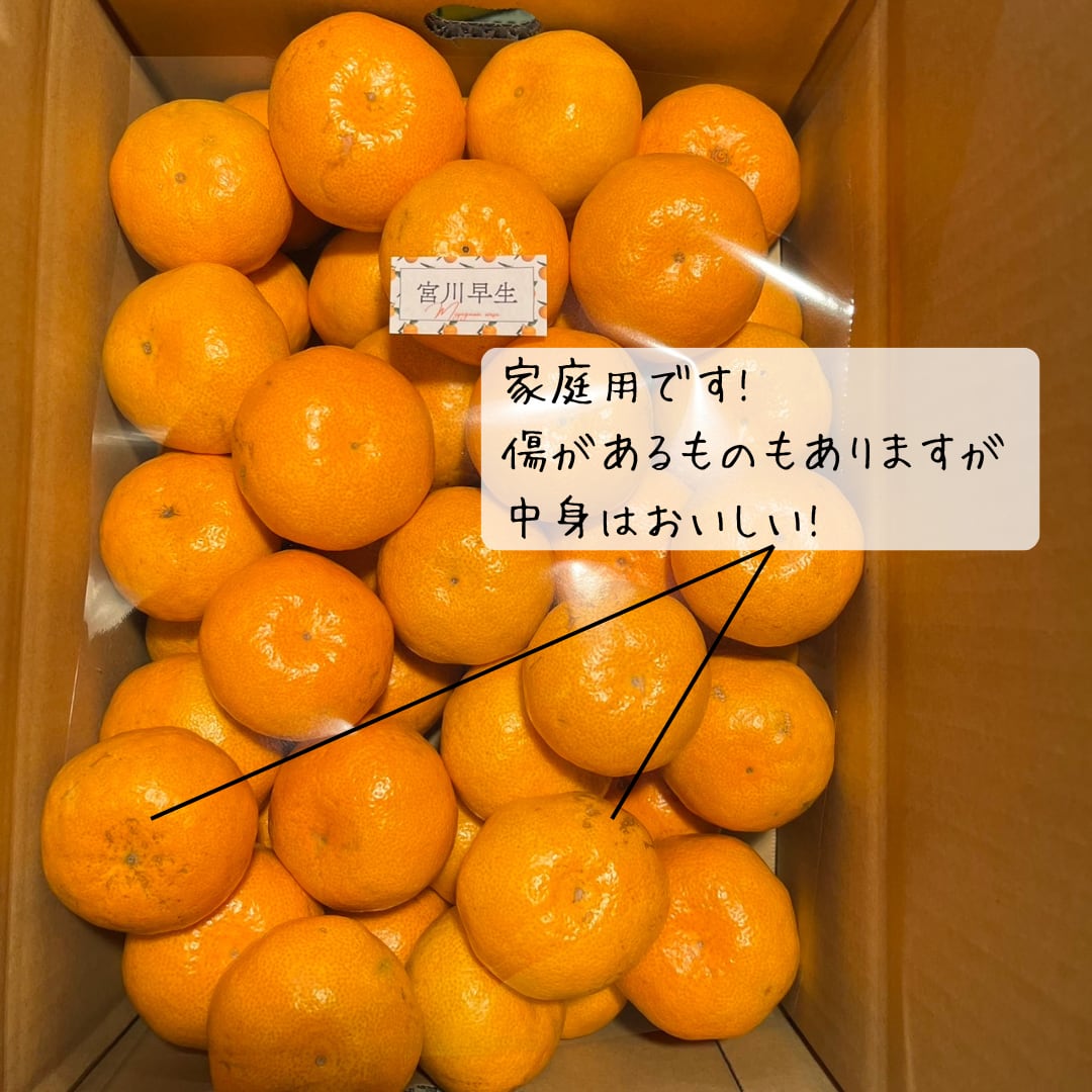 【完熟】有田みかん 5キロ 家庭用 2S〜Mサイズ 早生みかん 宮川早生 | ICHIMASA