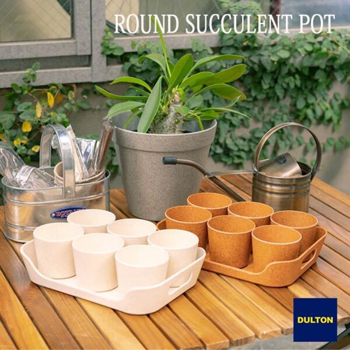 BOTANY ROUND SUCCULENT POT ボタニー ラウンド サキュレント ポット 植木鉢 自然由来 ダルトン DULTON ...