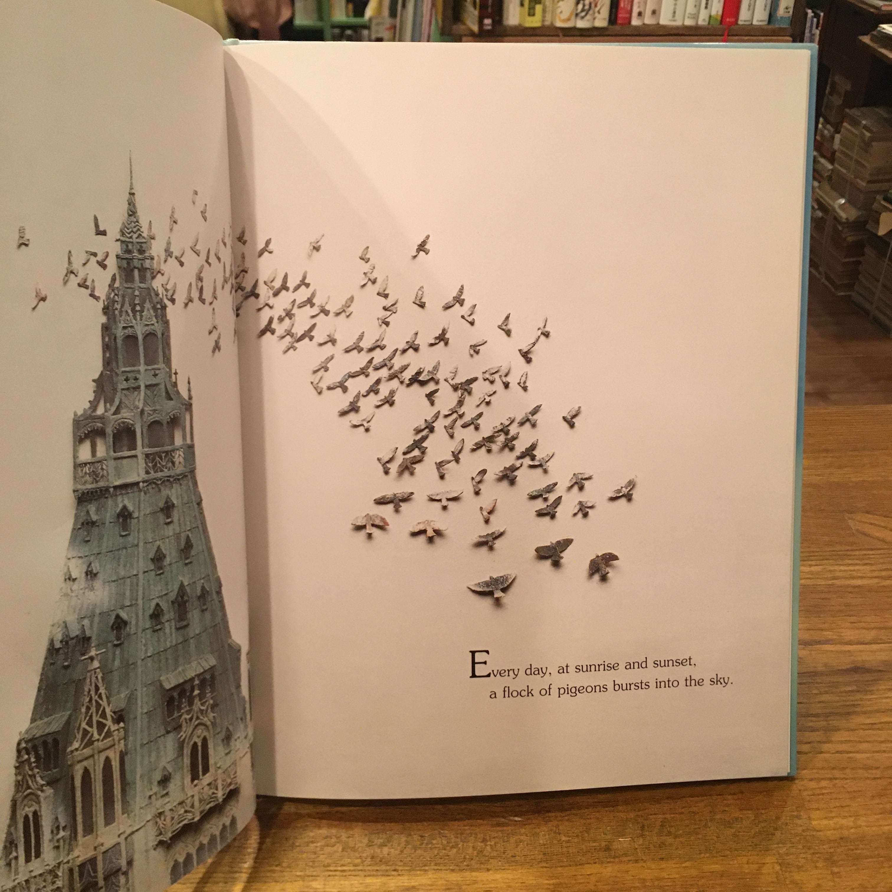 HOME IN THE SKY / ジーニー・ベイカー（Jeannie Baker） | 百年