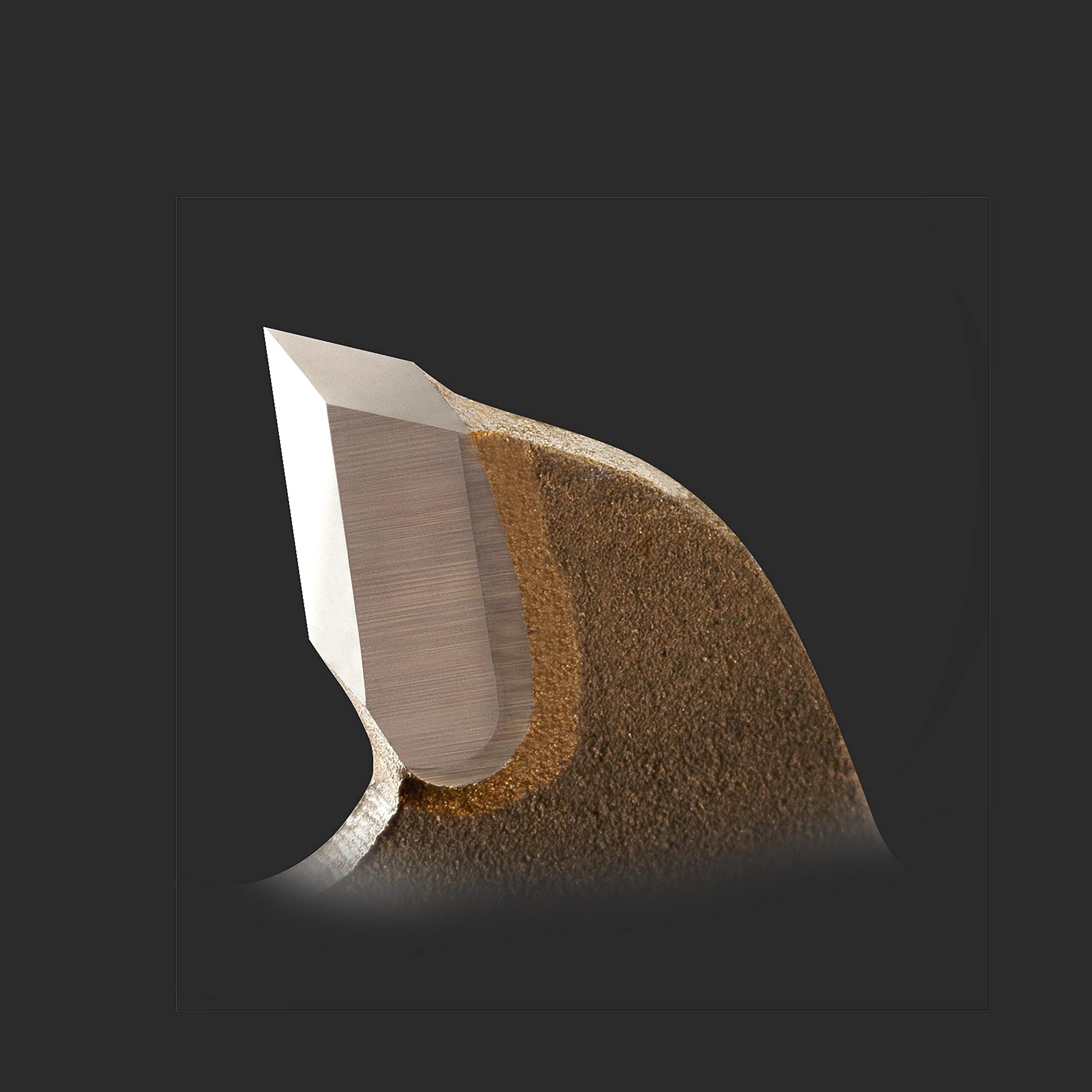 タジマ(Tajima) 充電卓上 スライド丸ノコ用 チップソー 造作用 165-60P ゴールド | ayuharu