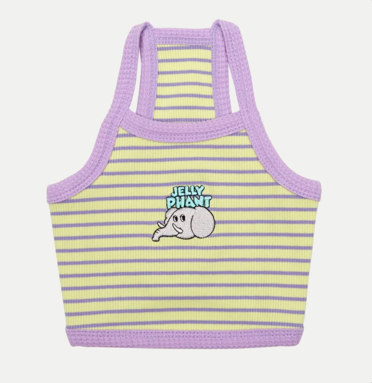 【andblank】JELLY PHANT STRIPE CROP TOP | 犬服・名入れ服専門店 roly-poly