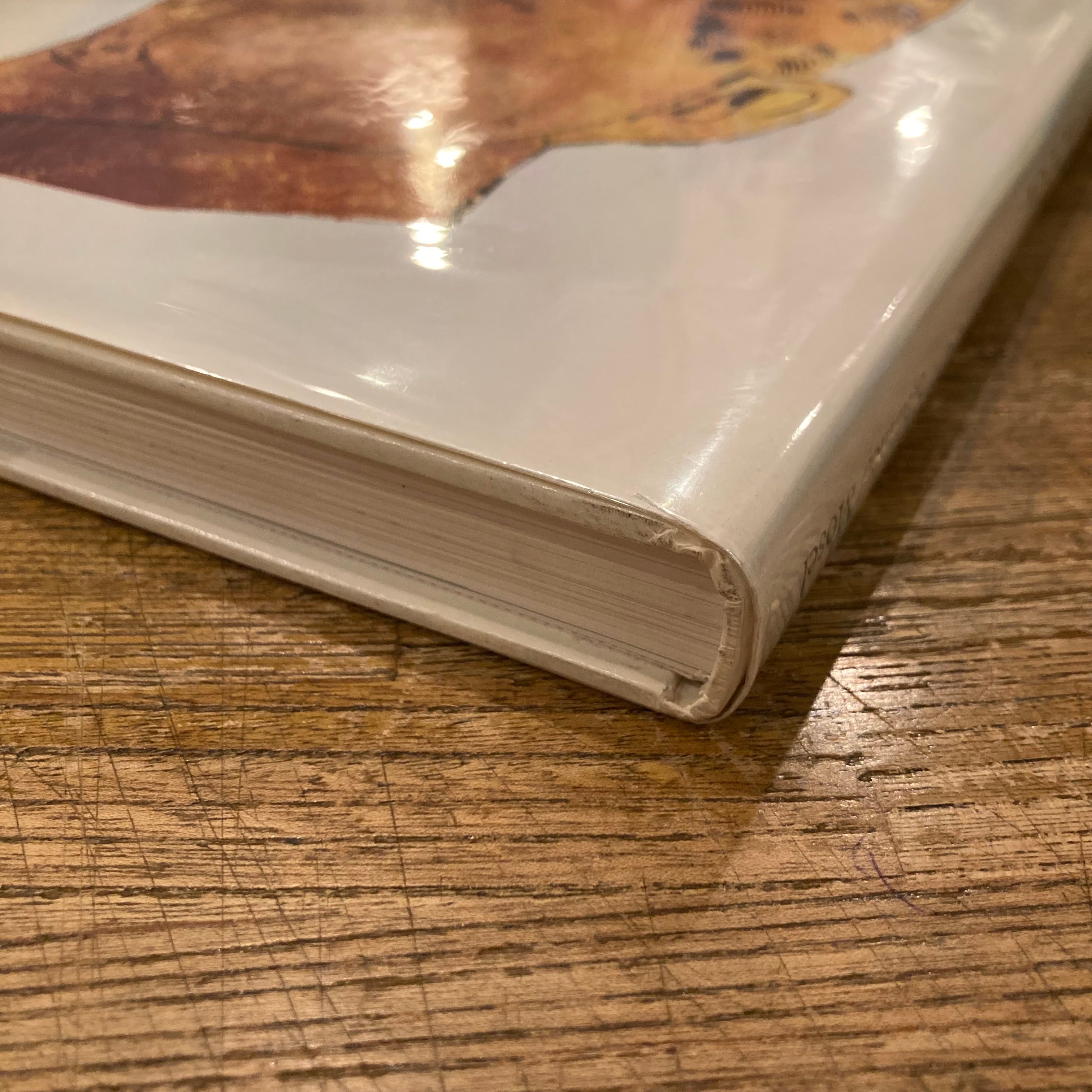 PRE-POP WARHOL / ANDY WARHOL、Jesse Kornbluth | 百年