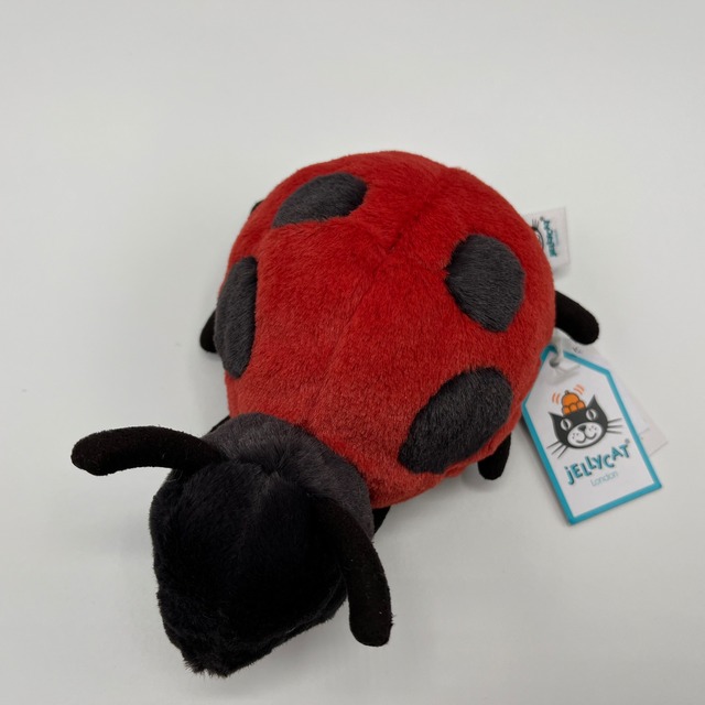 JELLYCAT Layla Ladybird ぬいぐるみ テントウムシ ジェリーキャット LAY3L | 紅玉堂