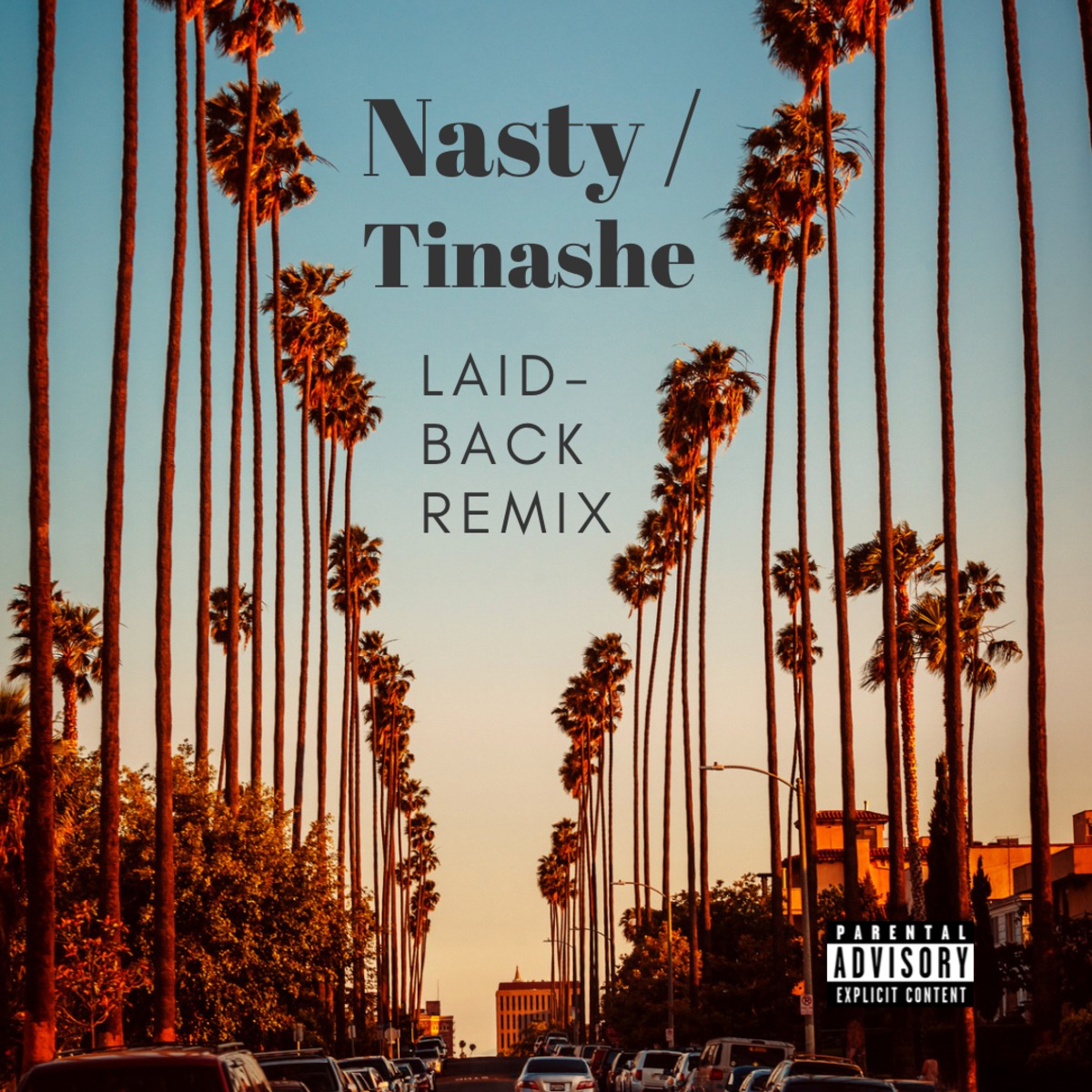 Nasty / Tinashe (Laid-Back Remix) | DJSWAN MIX SHOP