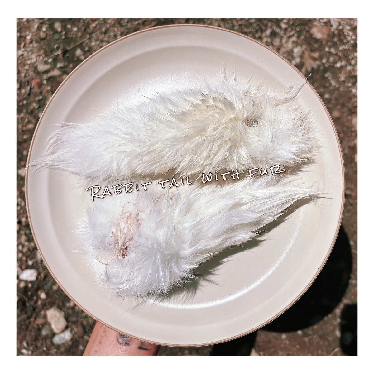 うさぎ 尻尾 | NATURAL DOG TREAT "LMA"