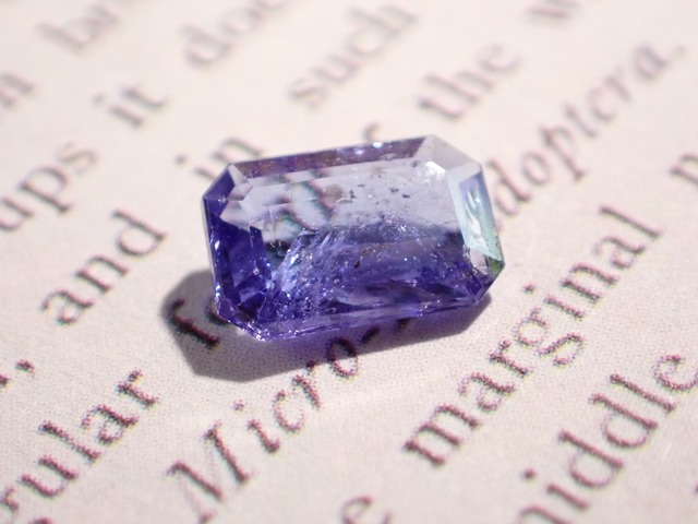 12月 | differencee(ディファレンシー)