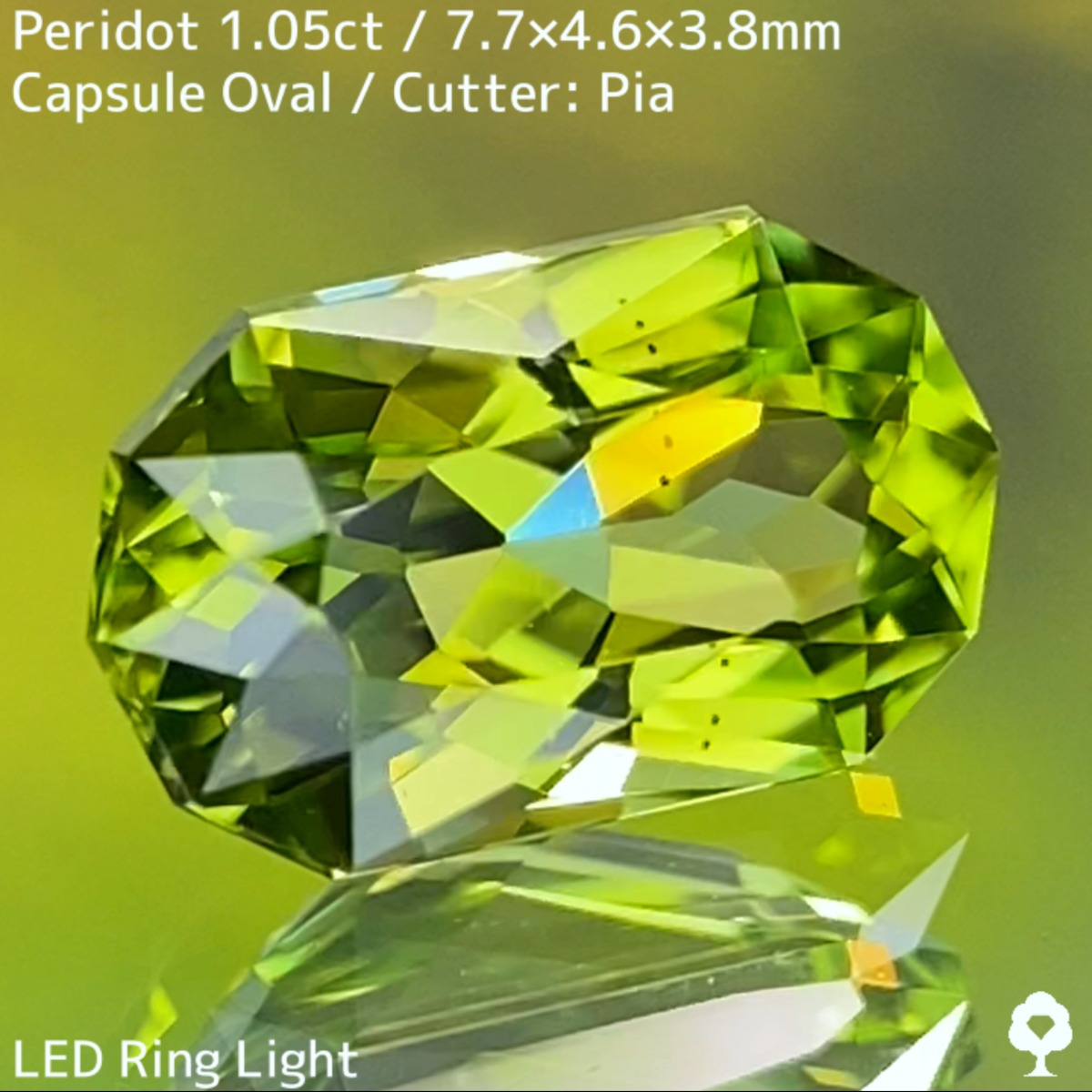 Peridot 1.05ct / U.S.A. | New GemTreeJapan BASE Shop