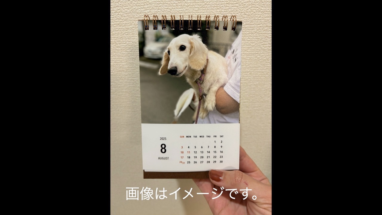 【2025年版】コハ家卓上カレンダー | kohake