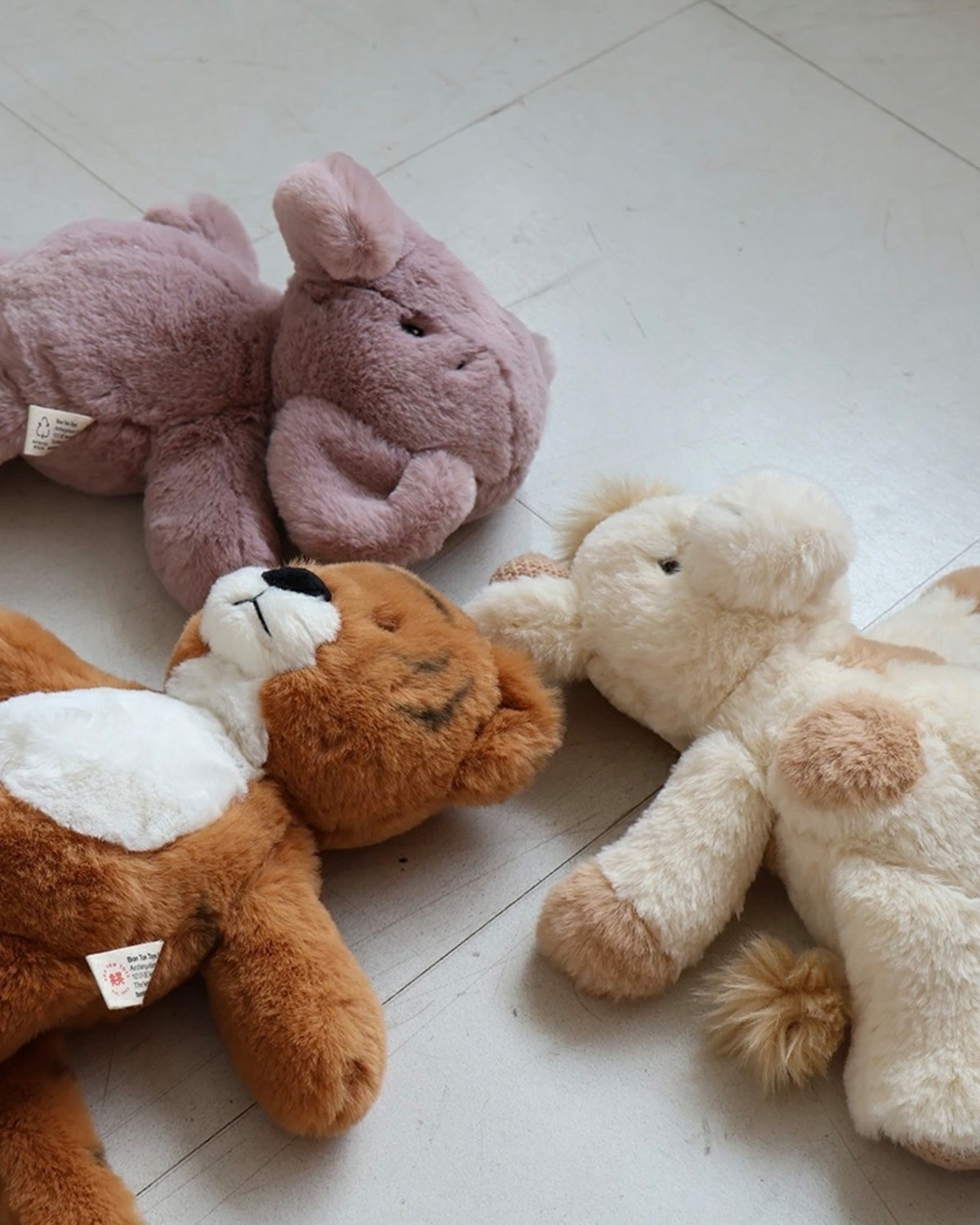 WWF CUB CLUB｜BON TON TOYS | NEVER STOP THINKING