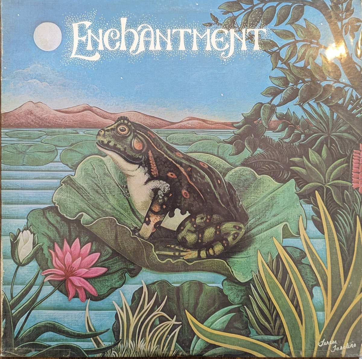 Enchantment「Enchantment」：LPレコード | 音とこだま
