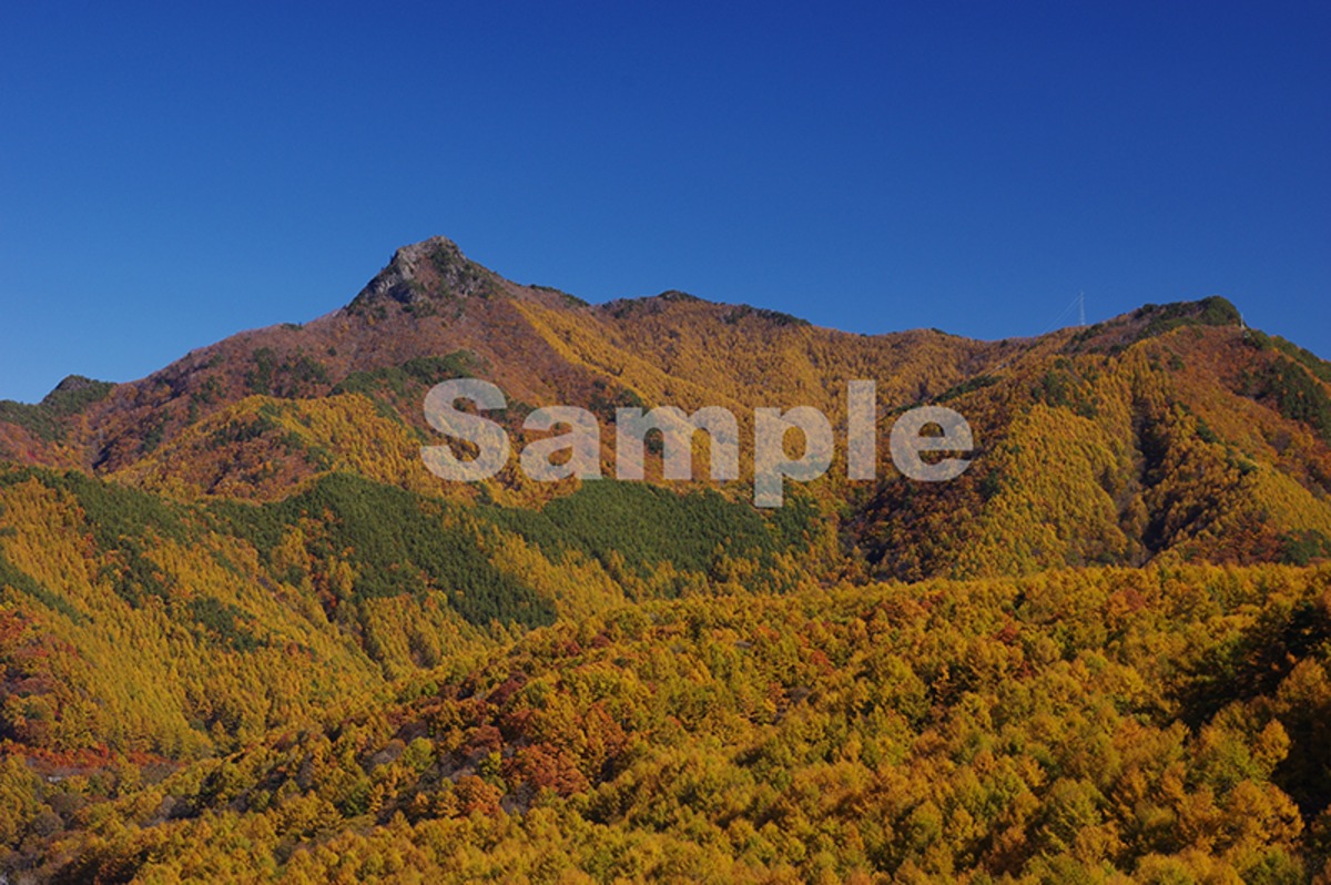 IMGP0049 2B | meadowscape