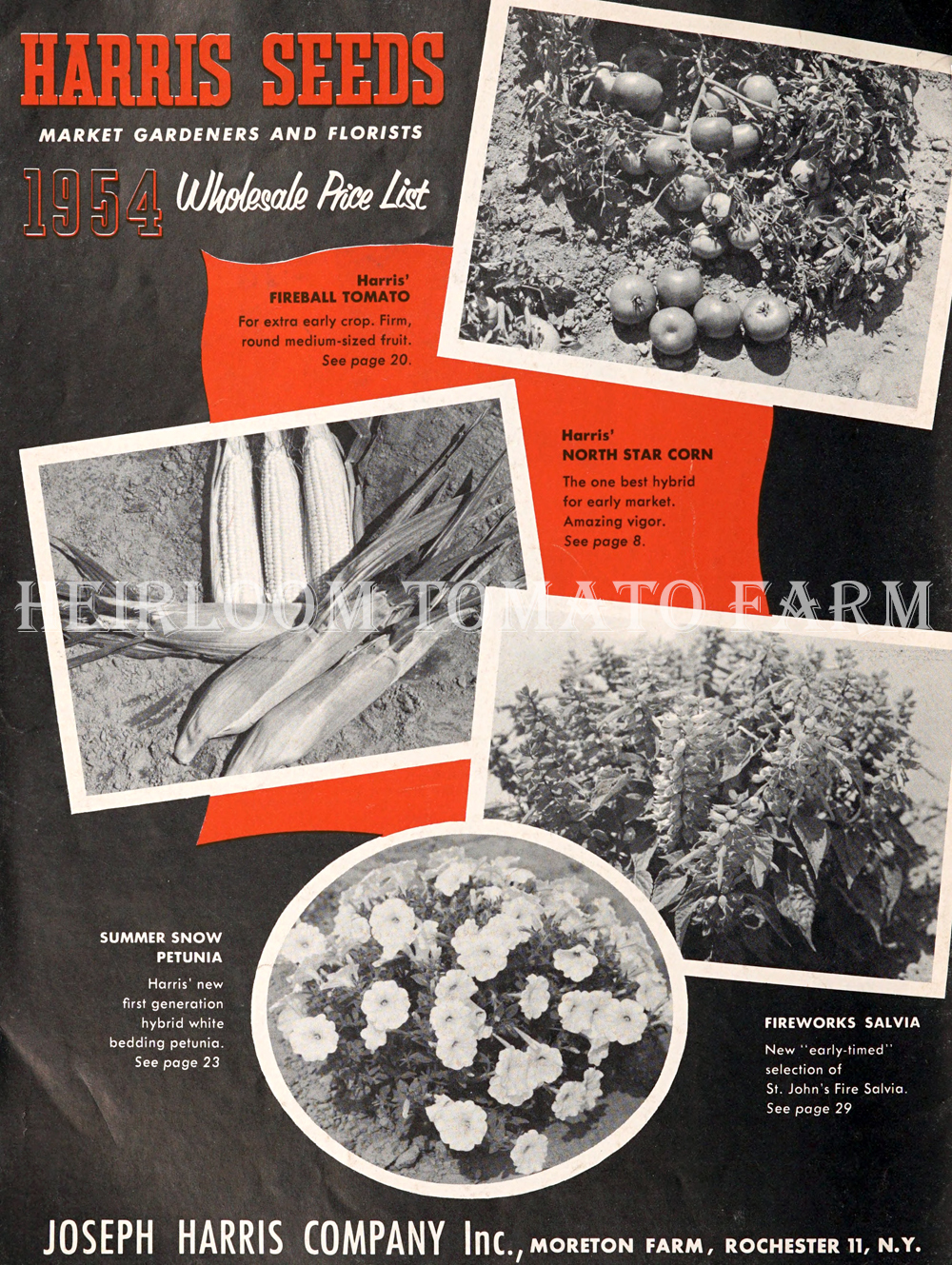 Heirloom Tomato Farm