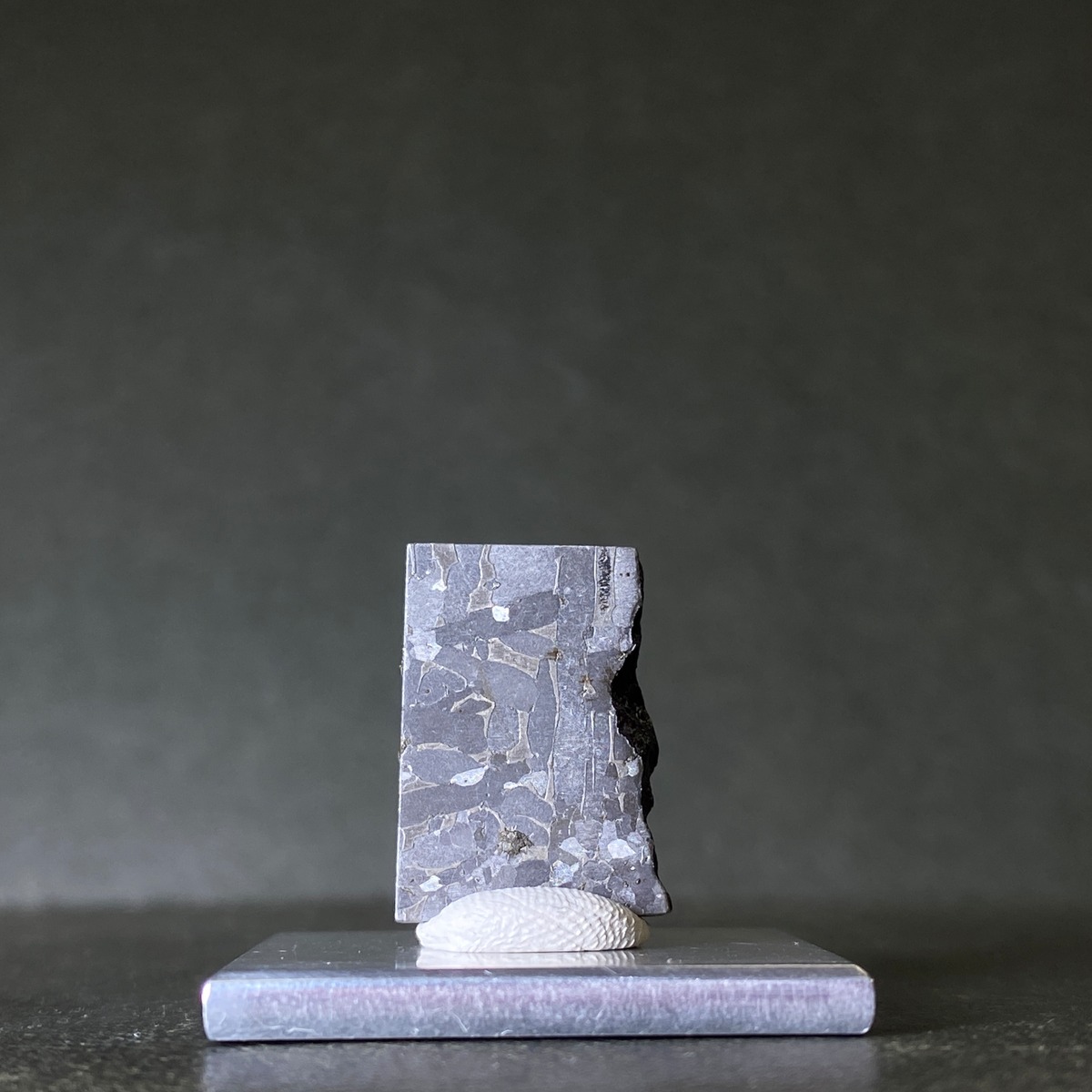 バハカリフォルニア隕石 Baja California Meteorite 24030106 | 【隕石屋】METEOS（メテオス）