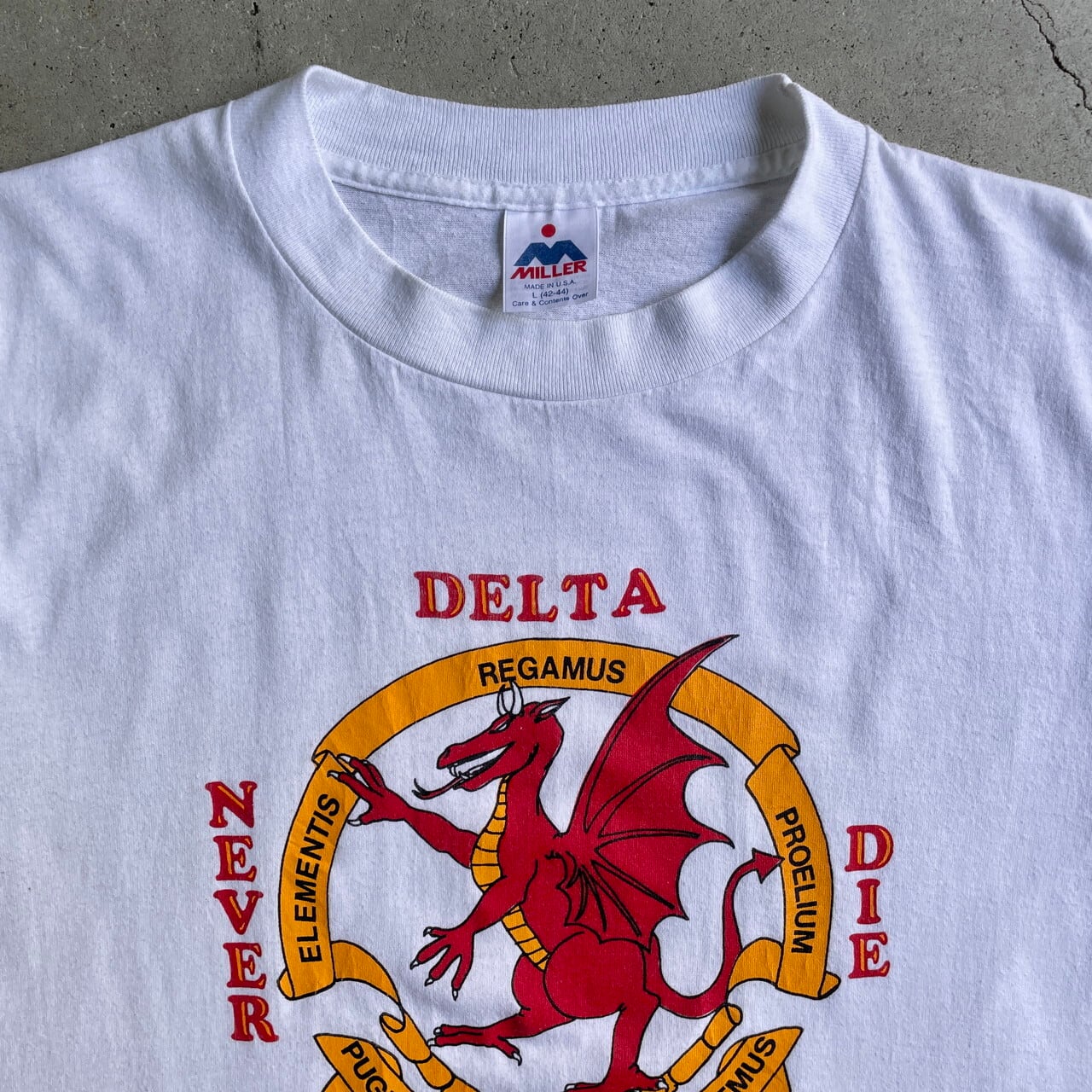 90年代 DELTA DEMONS ミリタリー 米軍学校 ドラゴン プリント Tシャツ メンズM-L相当 古着 90s ビンテージ ...