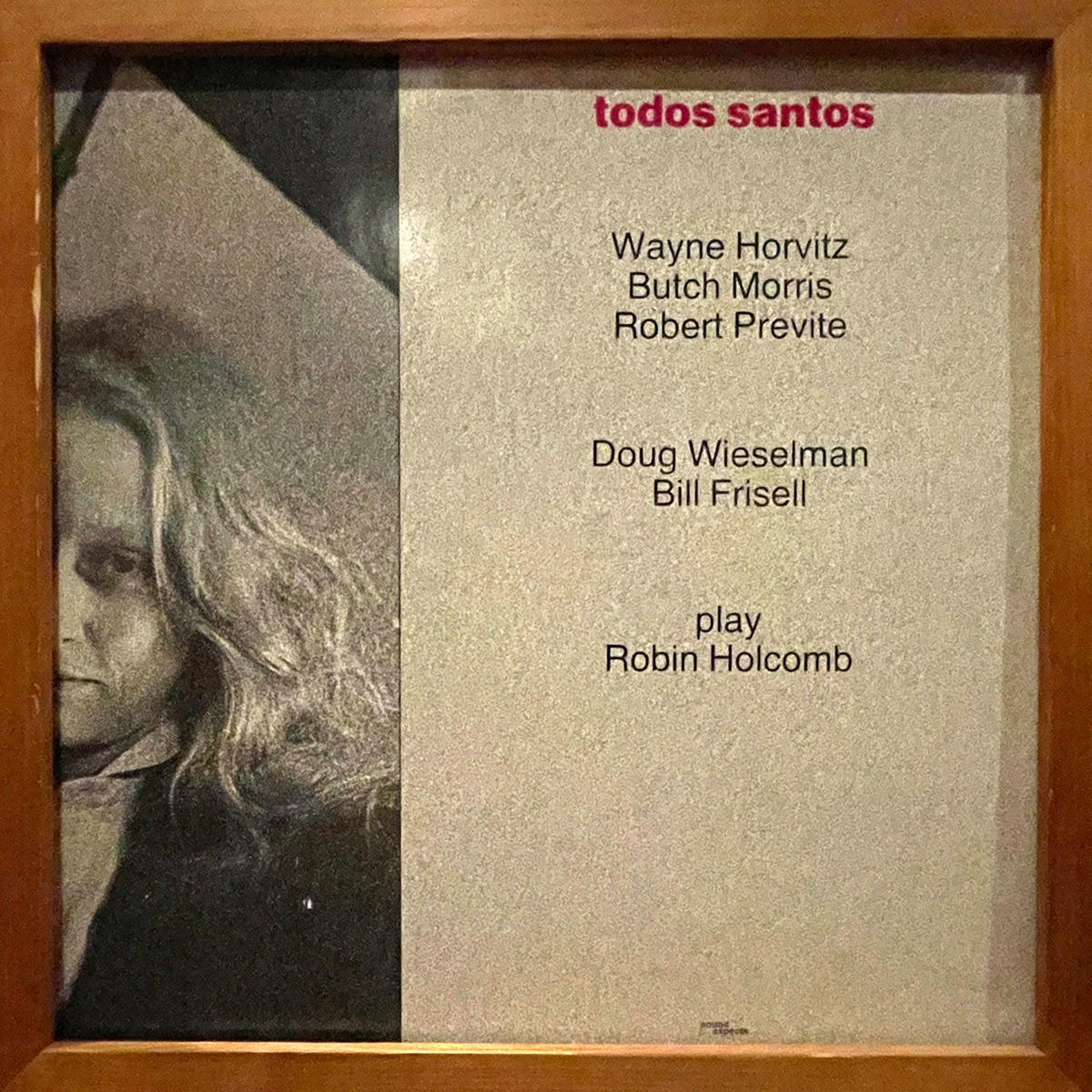Wayne Horvitz, Butch Morris, Robert Previte, Doug Wieselman, Bill ...